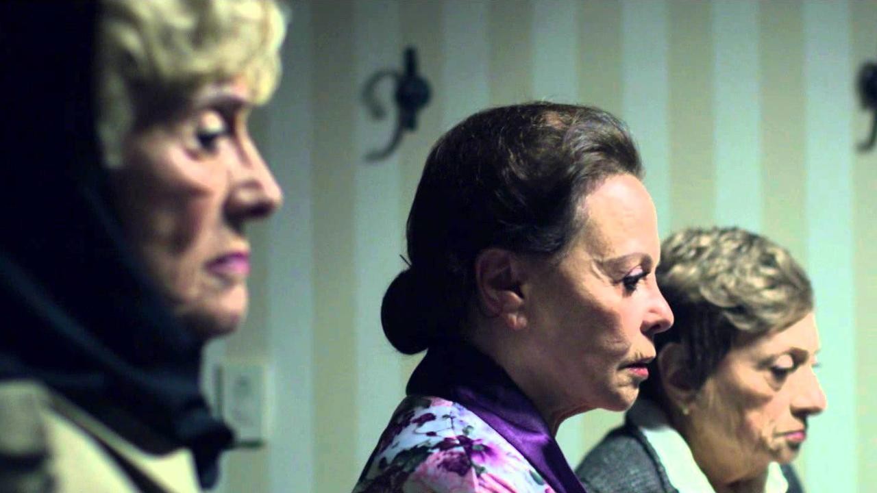 Fire Birds (2015) | MUBI