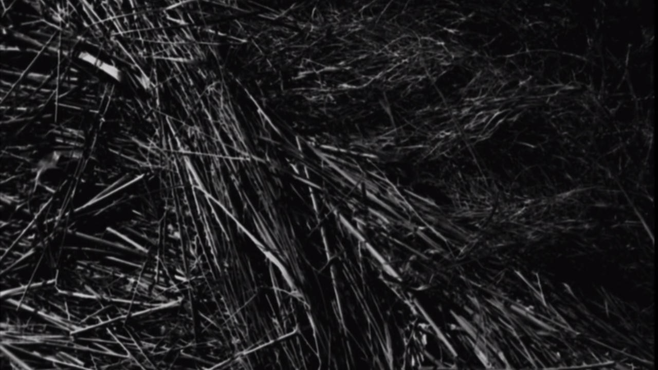 Stray Marks (2016) | MUBI