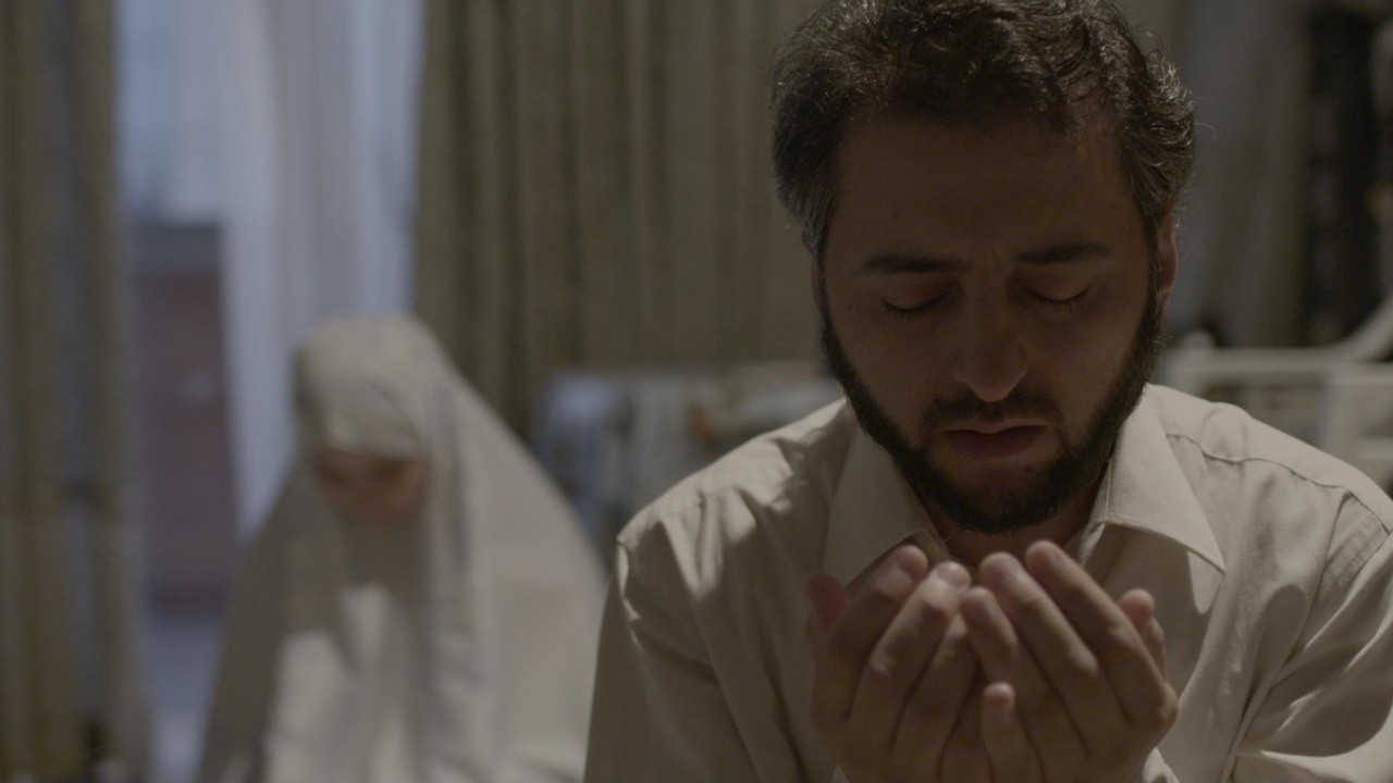 My Aleppo (2015) | MUBI