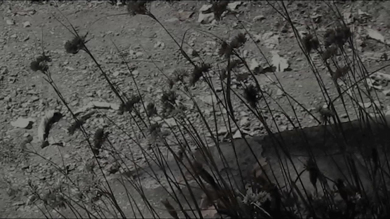 Ten Thousand Empty Houses (2016) | MUBI