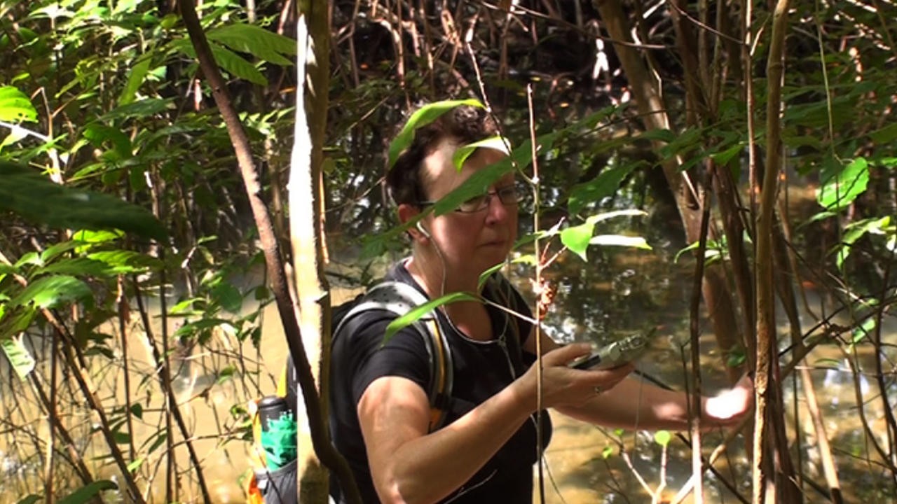 The Perfect Backpack (2014) | MUBI