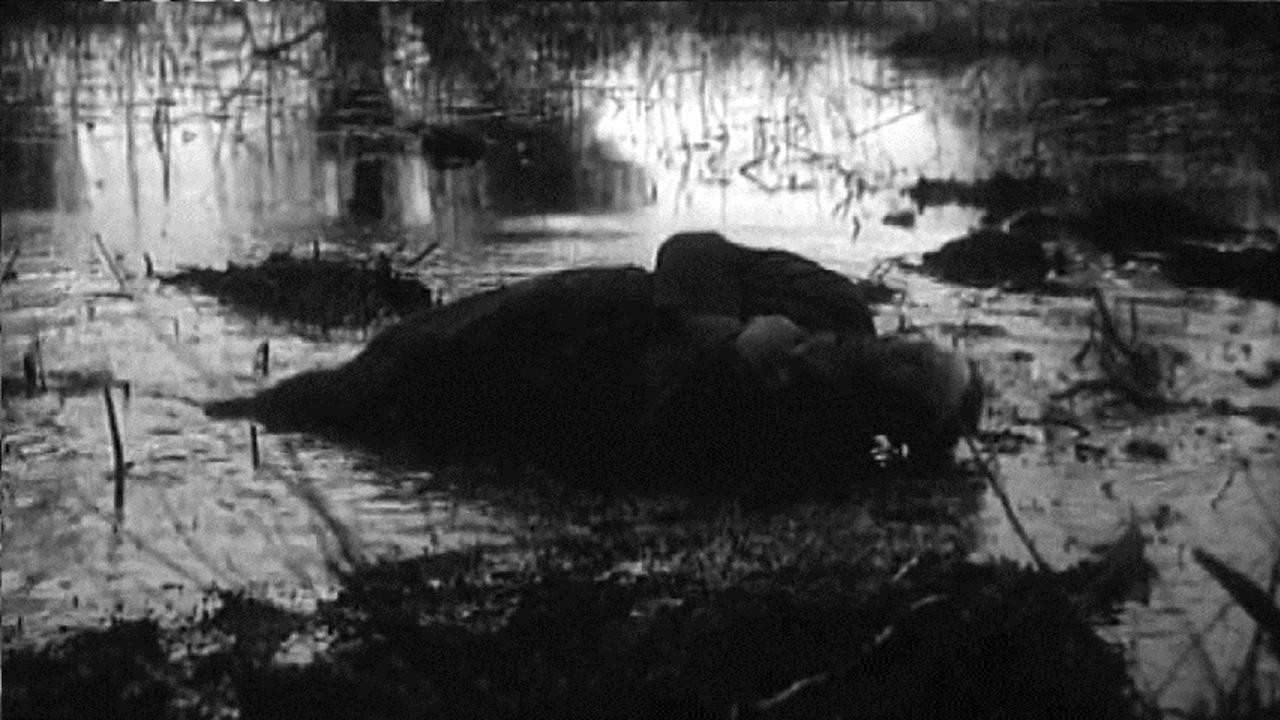 Vortex 1964 Mubi