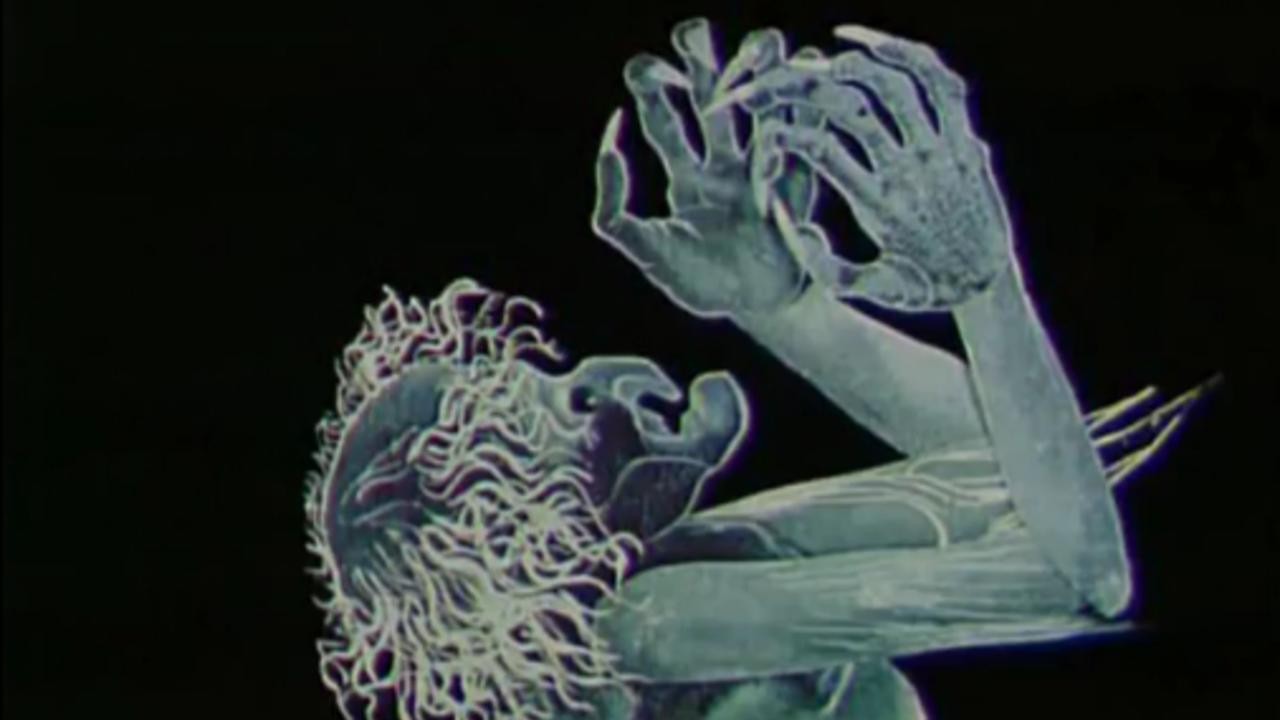 Fern Flower (1979) | MUBI