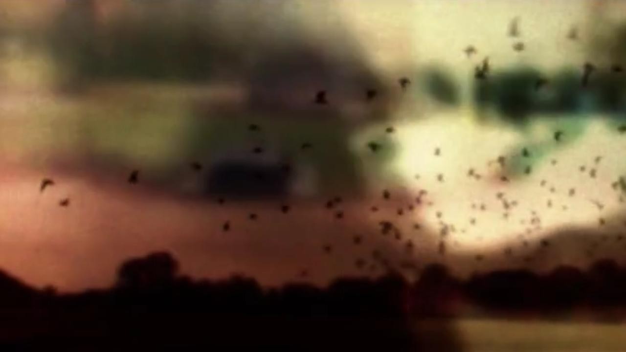 Displacement (2015) | MUBI