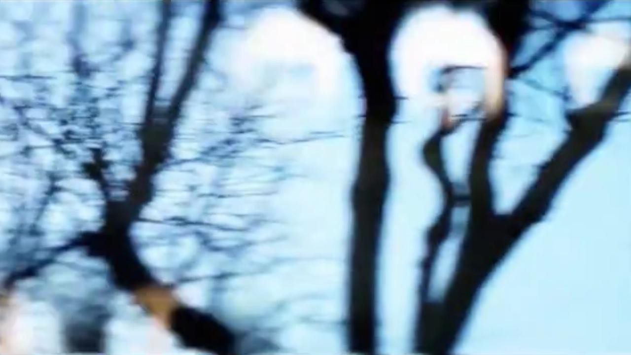 Impressions [Clermont - Ferrand] (2013) | MUBI