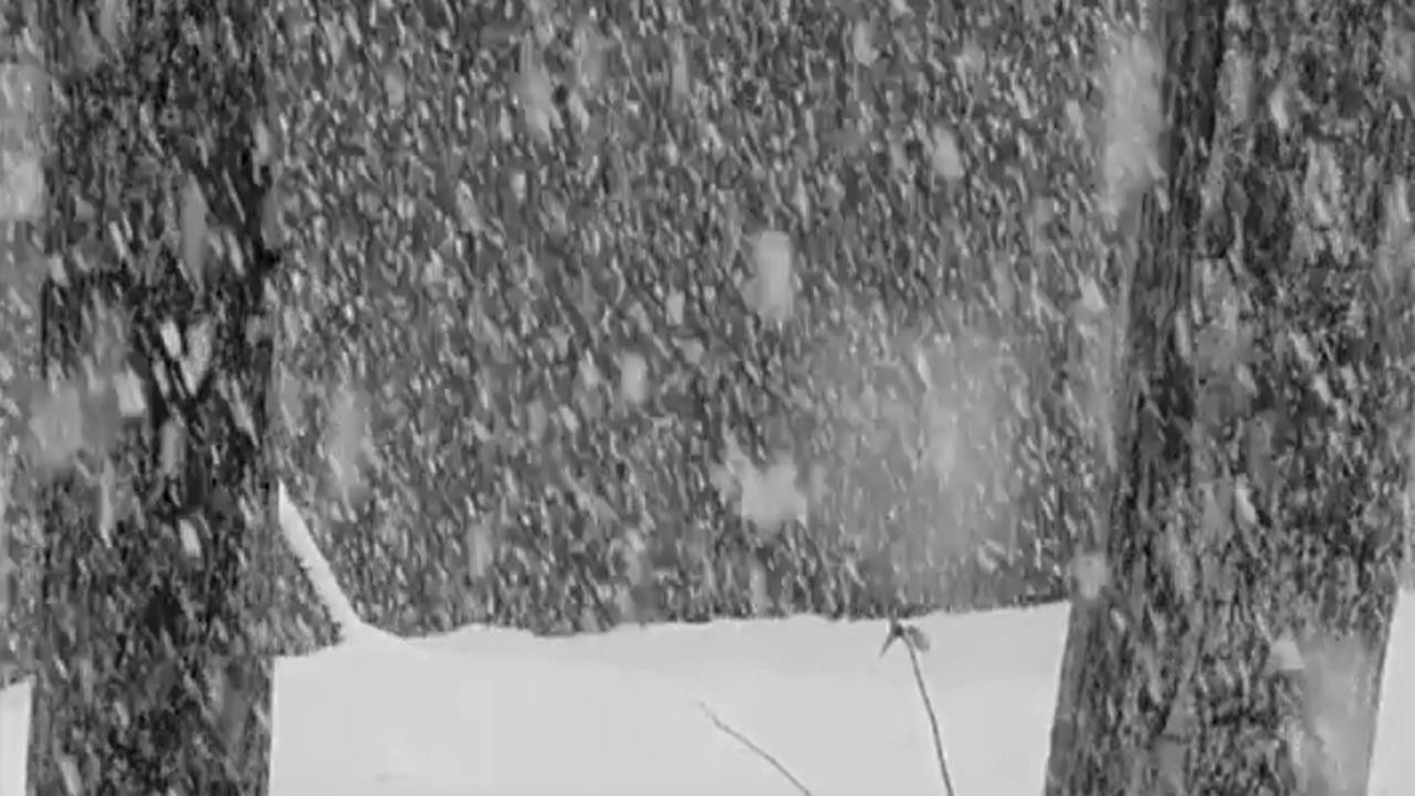 Snow (1971) | MUBI