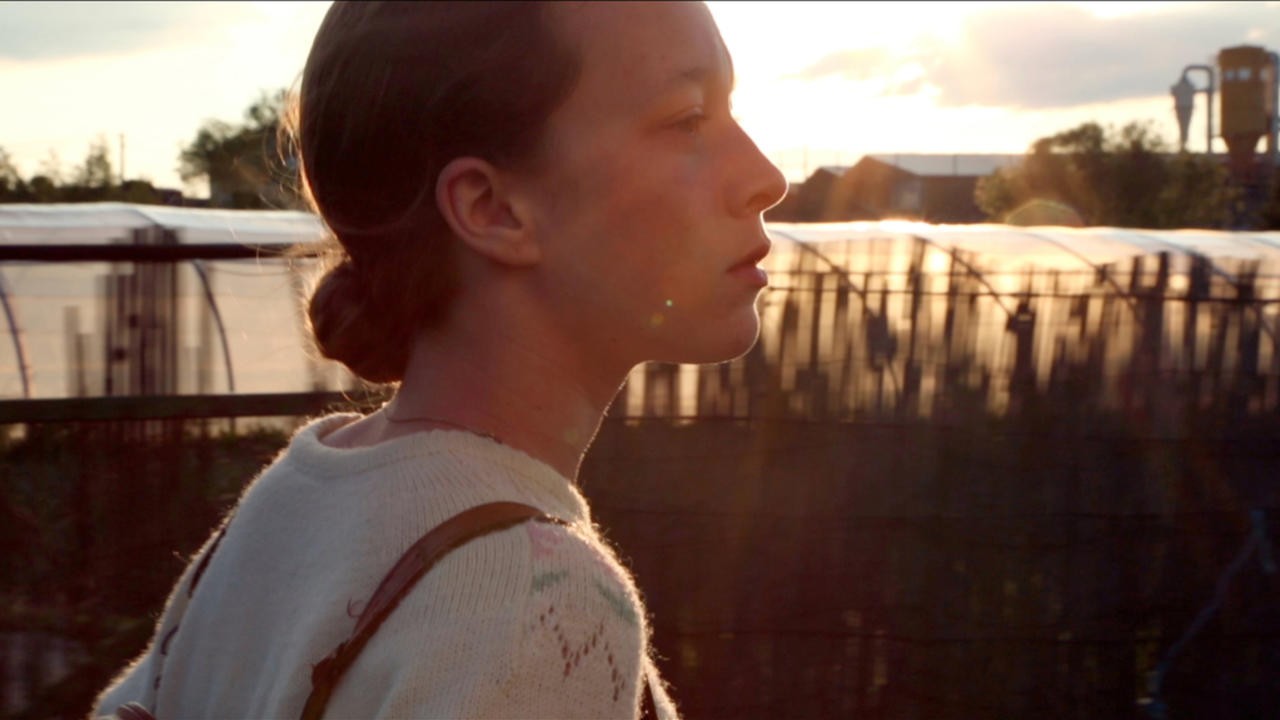 Flesh and Volcanoes (2014) | MUBI