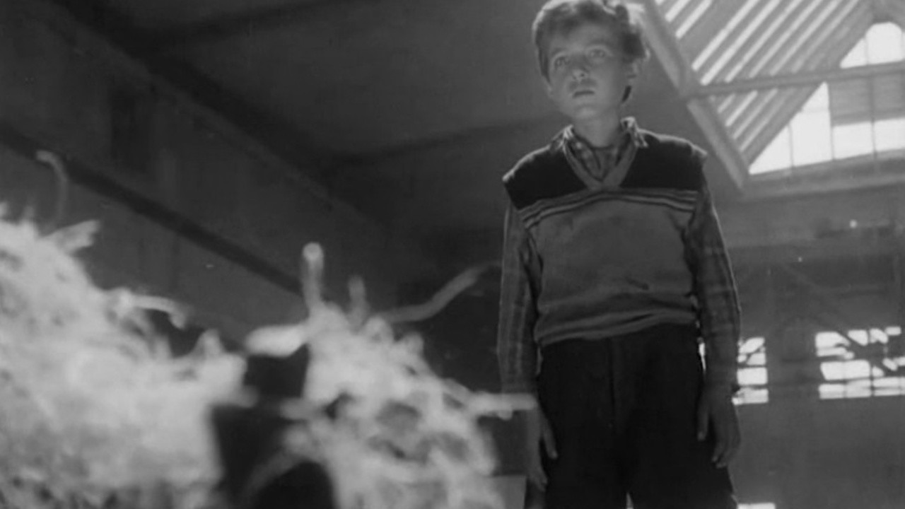 The Sun Behind Bars 1957 Mubi