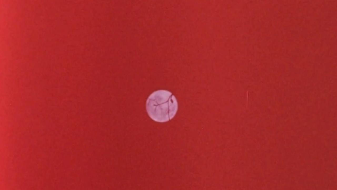 The Waiting Sands (2013) | MUBI