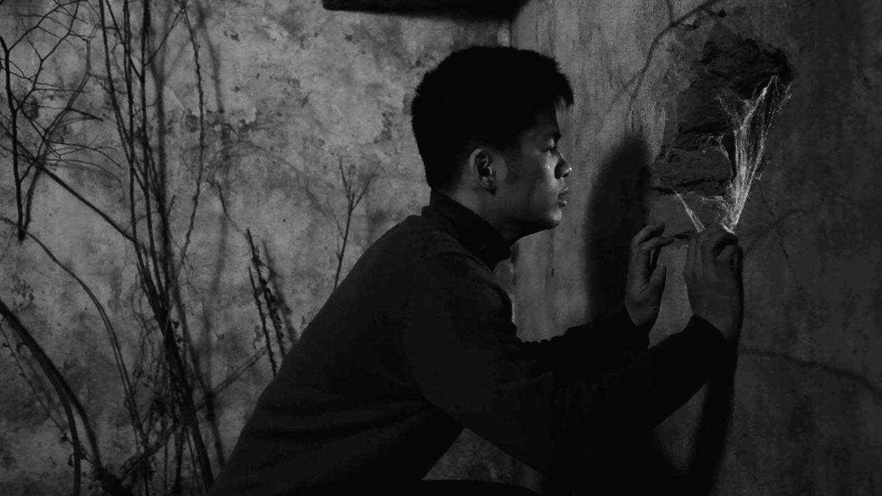 Early Spring 2015 Mubi