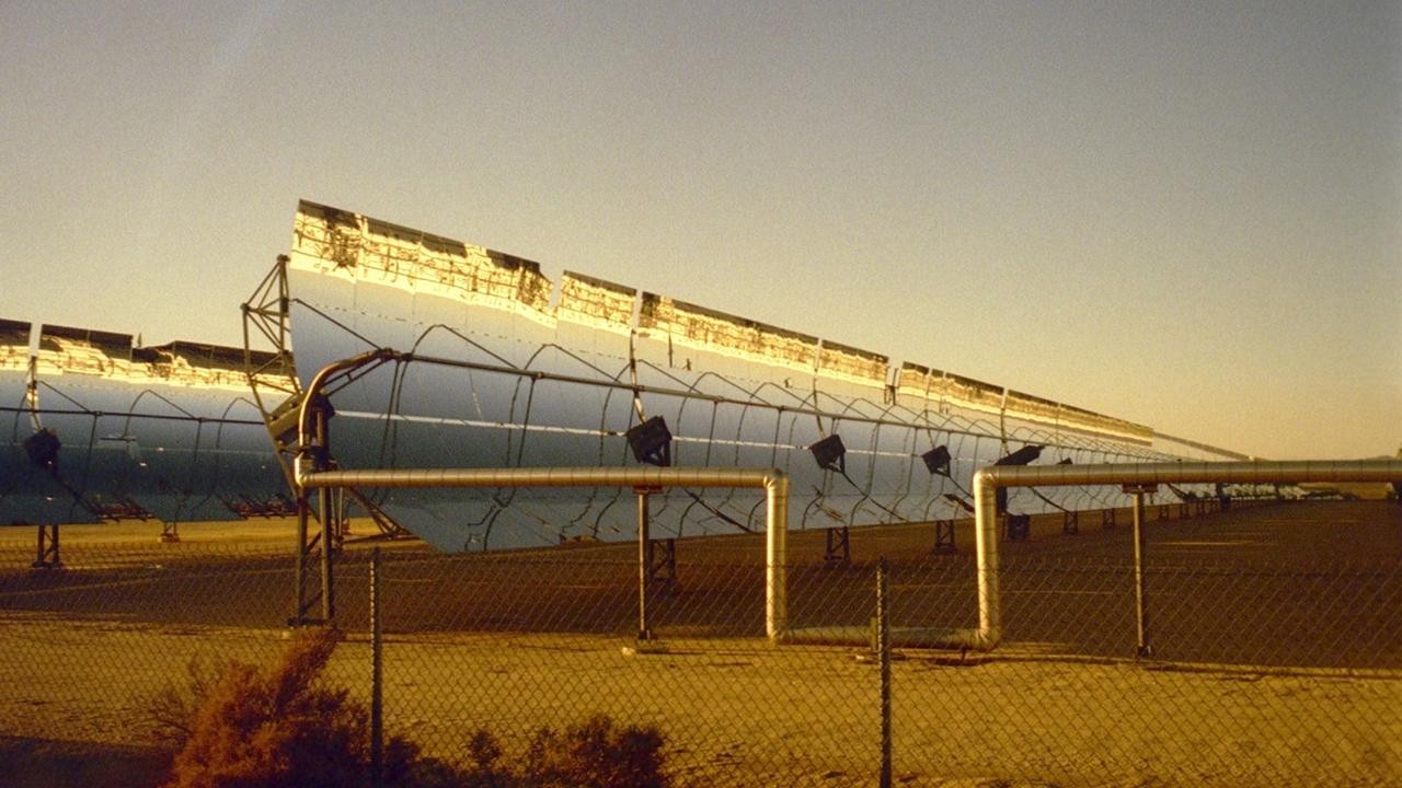 They Shine (2007) | MUBI