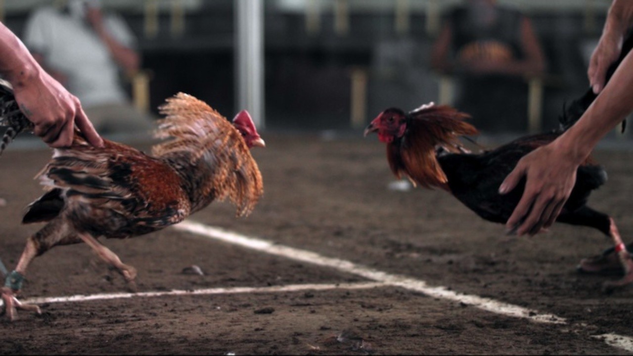 Kristo (2017) | MUBI