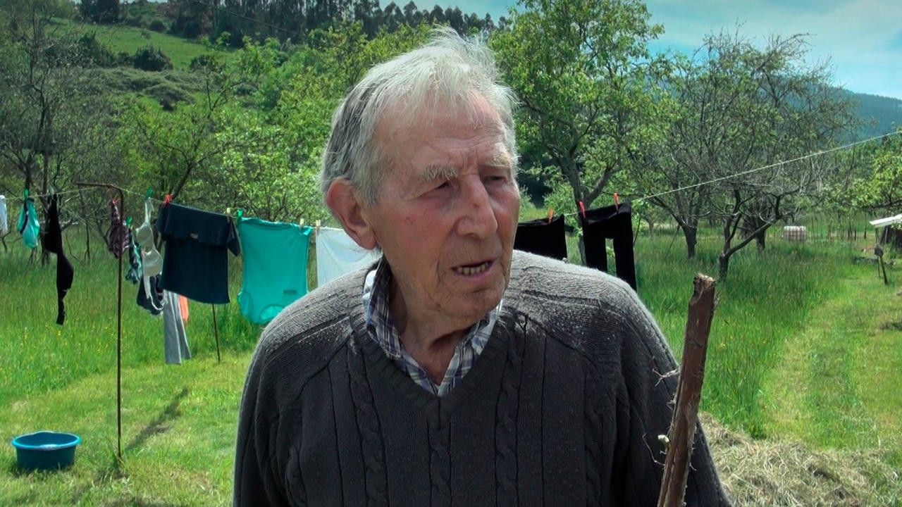 The Name of the Trees (2015) | MUBI