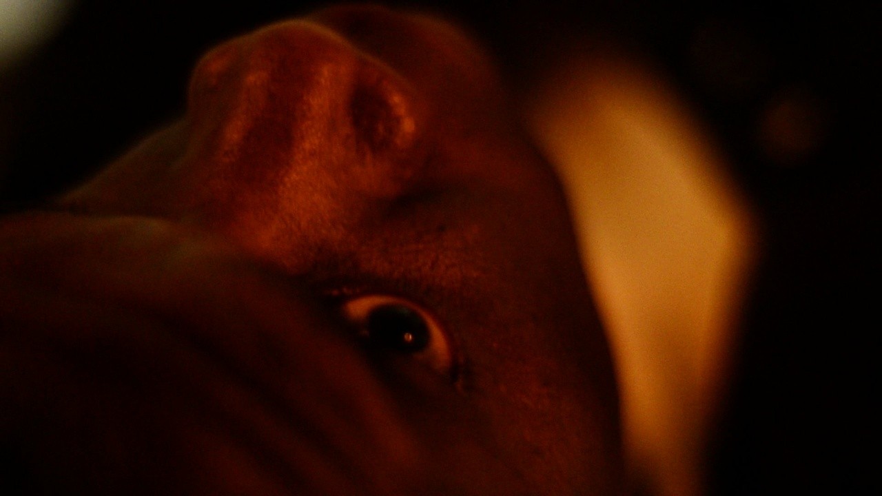 Methadone and Amphetamine (2014) | MUBI