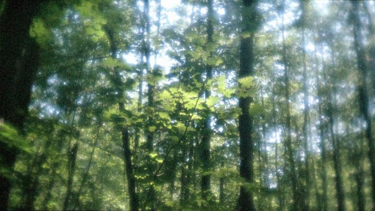 This Is What You Shall Do (2017) | MUBI