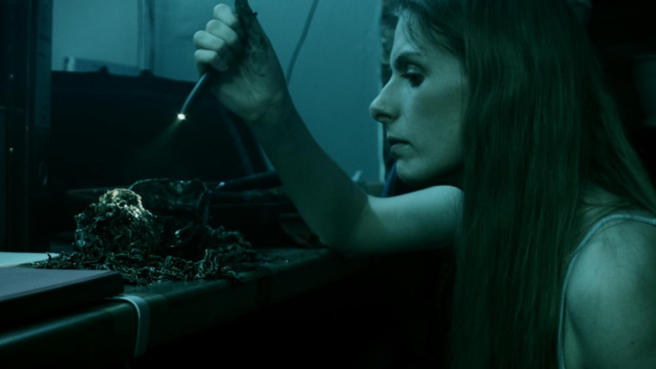 The Creature Below (2016) | MUBI