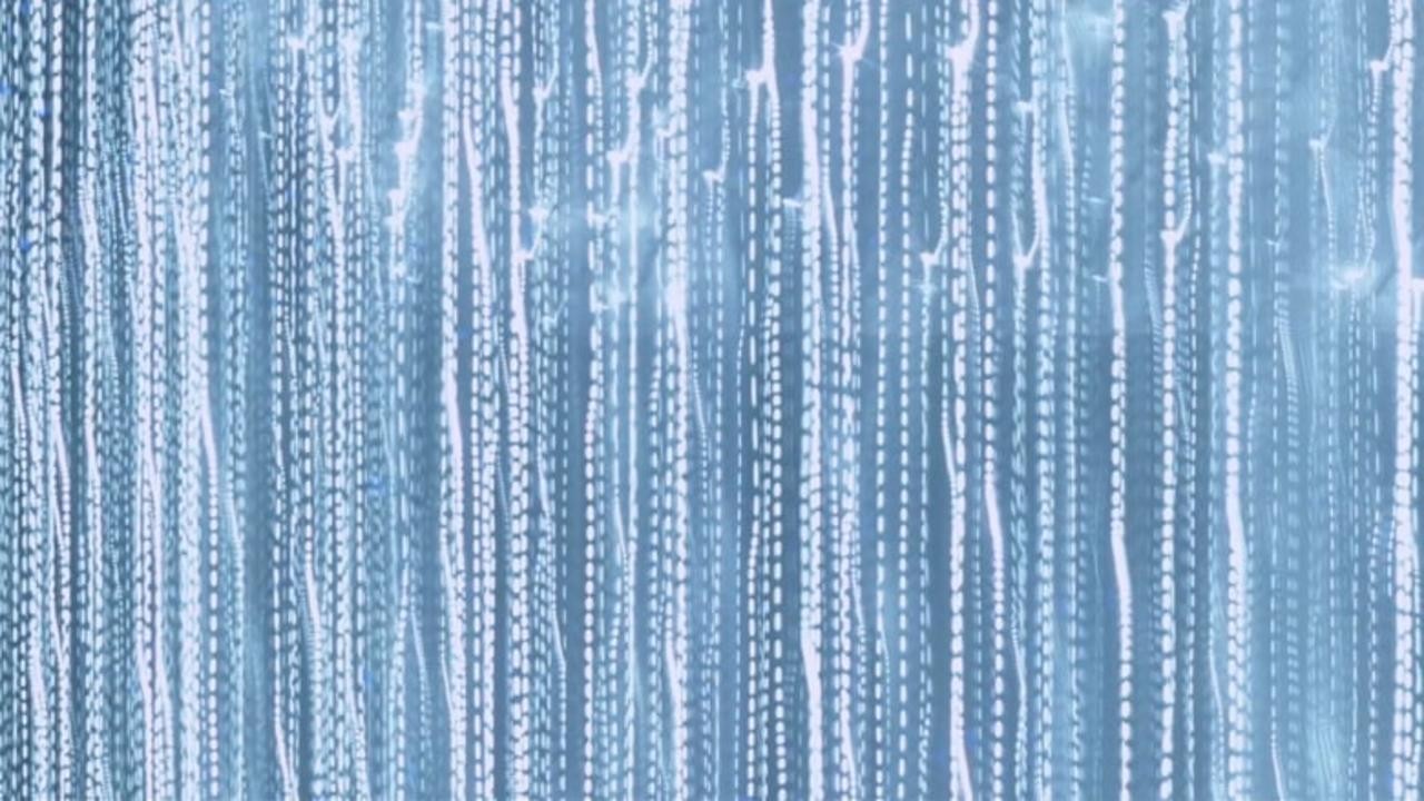 Lost Ground (2016) | MUBI