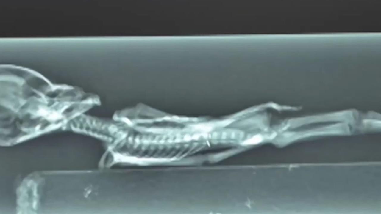 TRAILER - Unacknowledged (2017)