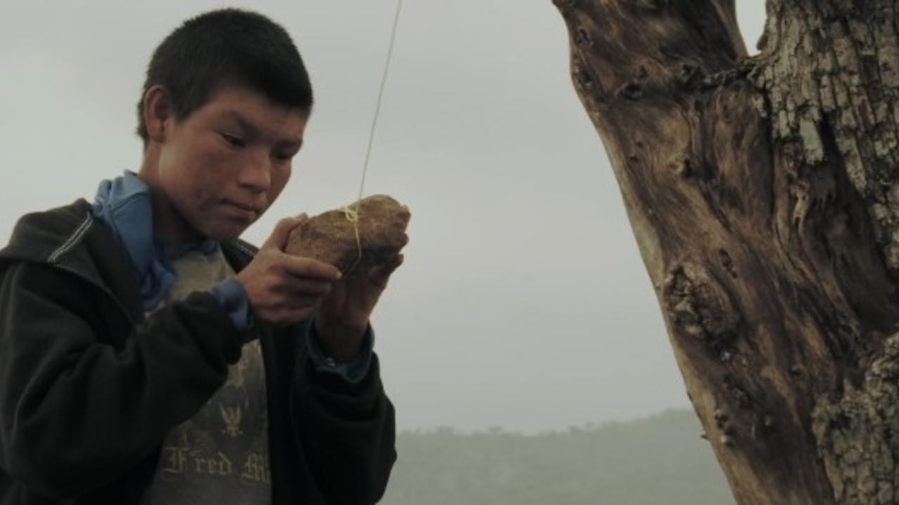 Aurelia and Pedro (2016) | MUBI