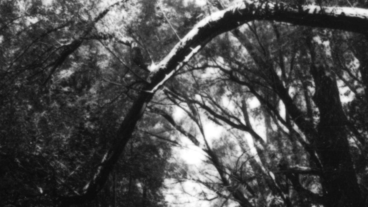 Glint (2002) | MUBI