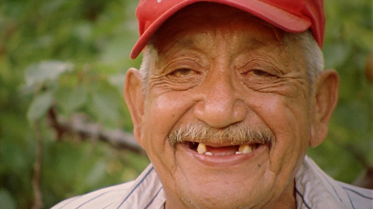 Last Thoughts (2006) | MUBI