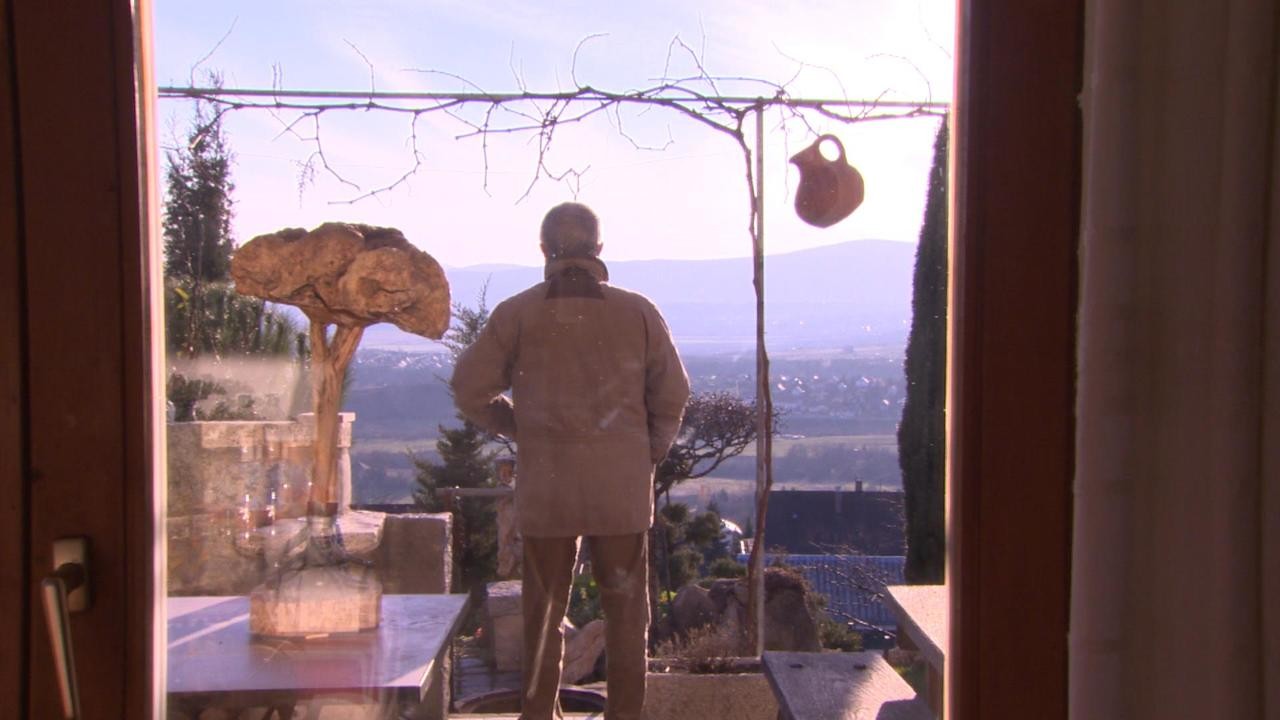 Roots of Iron (2016) | MUBI