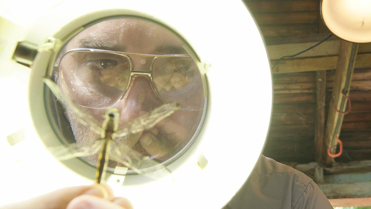 Kill Jar (2017) | MUBI