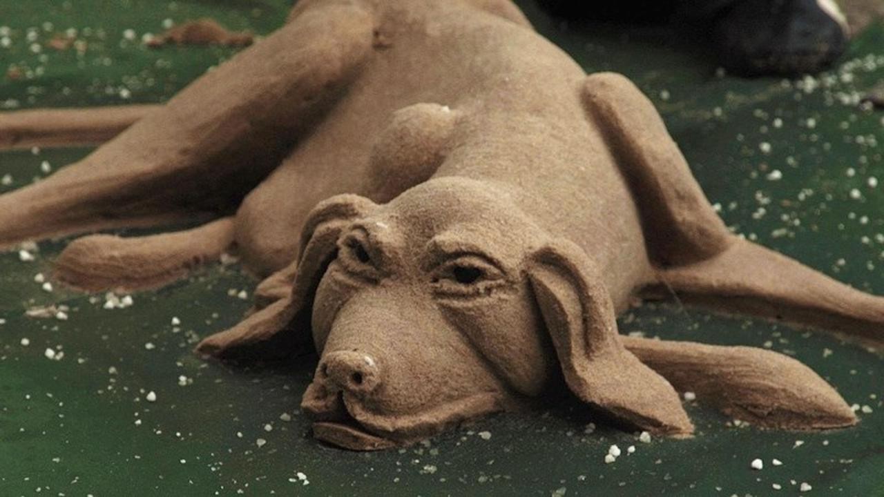 Sand Men (2016) | MUBI