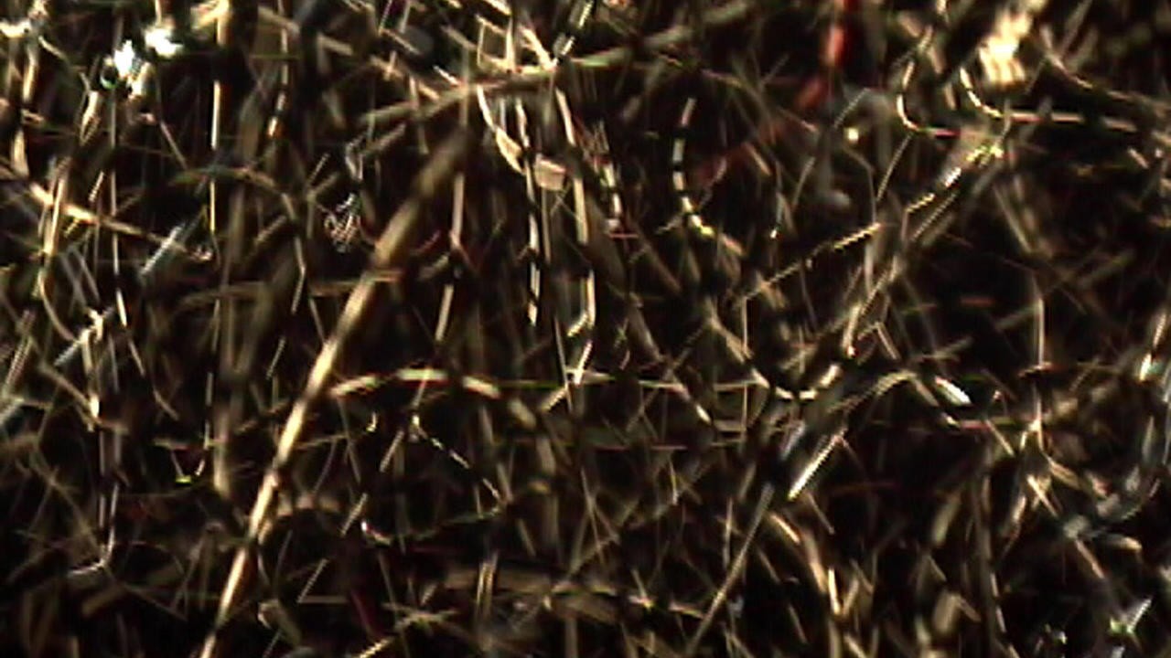 Splinters (2003) | MUBI