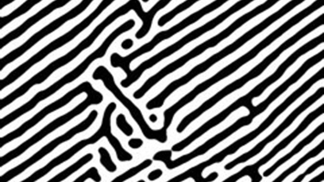 Even odd Even (2004) | MUBI