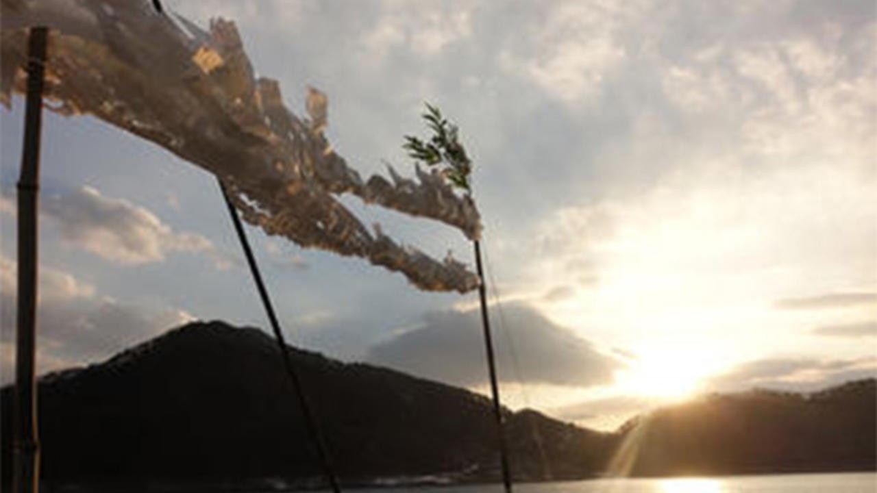 Eyes in the Red Wind (2017) | MUBI