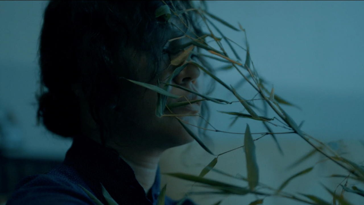 Beloved (2017) | MUBI