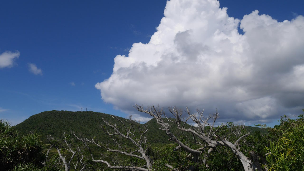 Cloud Nation (2015) | MUBI