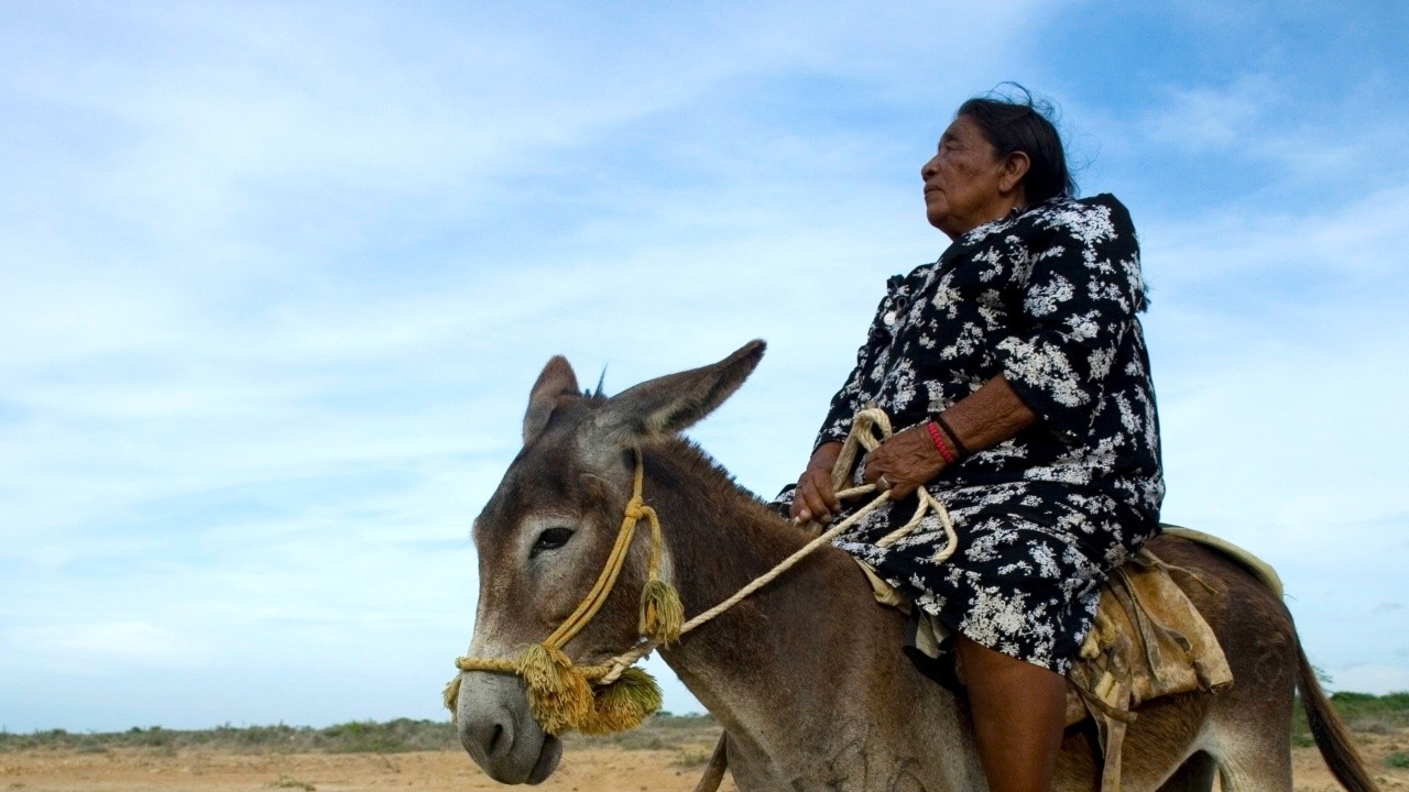 Land Within (2016) | MUBI