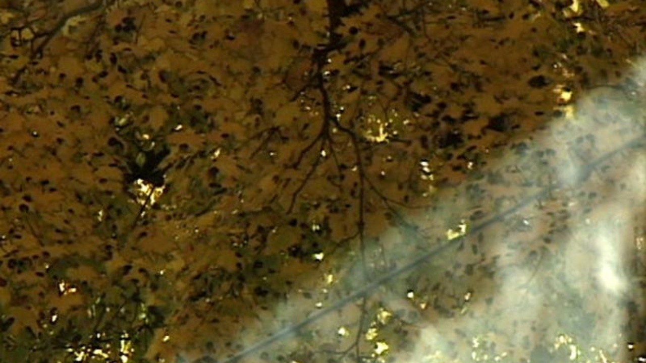 Aurora Street (2000) | MUBI