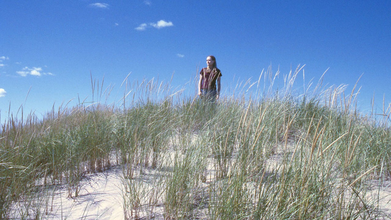 Wisdom Day (2002) | MUBI