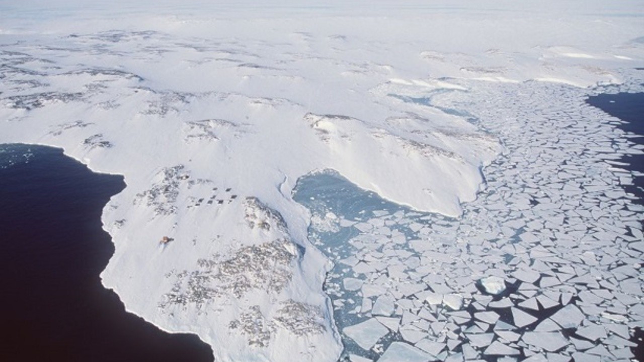 Antarctica (1991) | MUBI