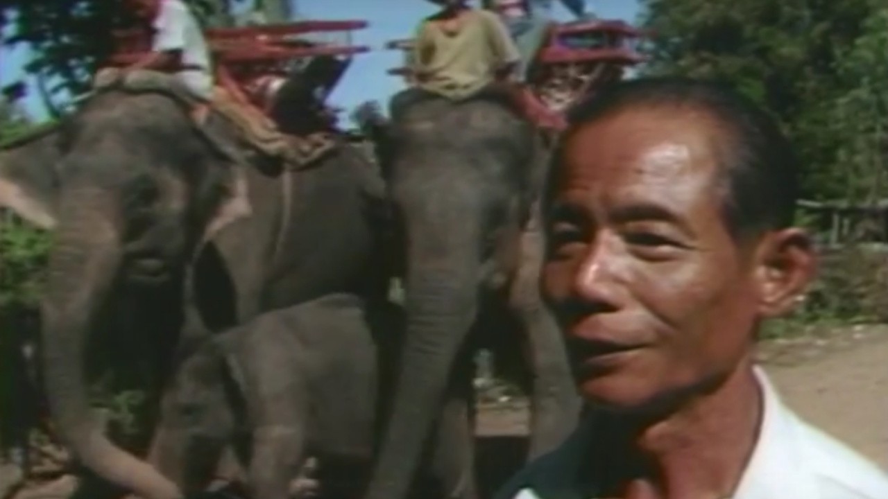 Elephant Games (1985) | MUBI