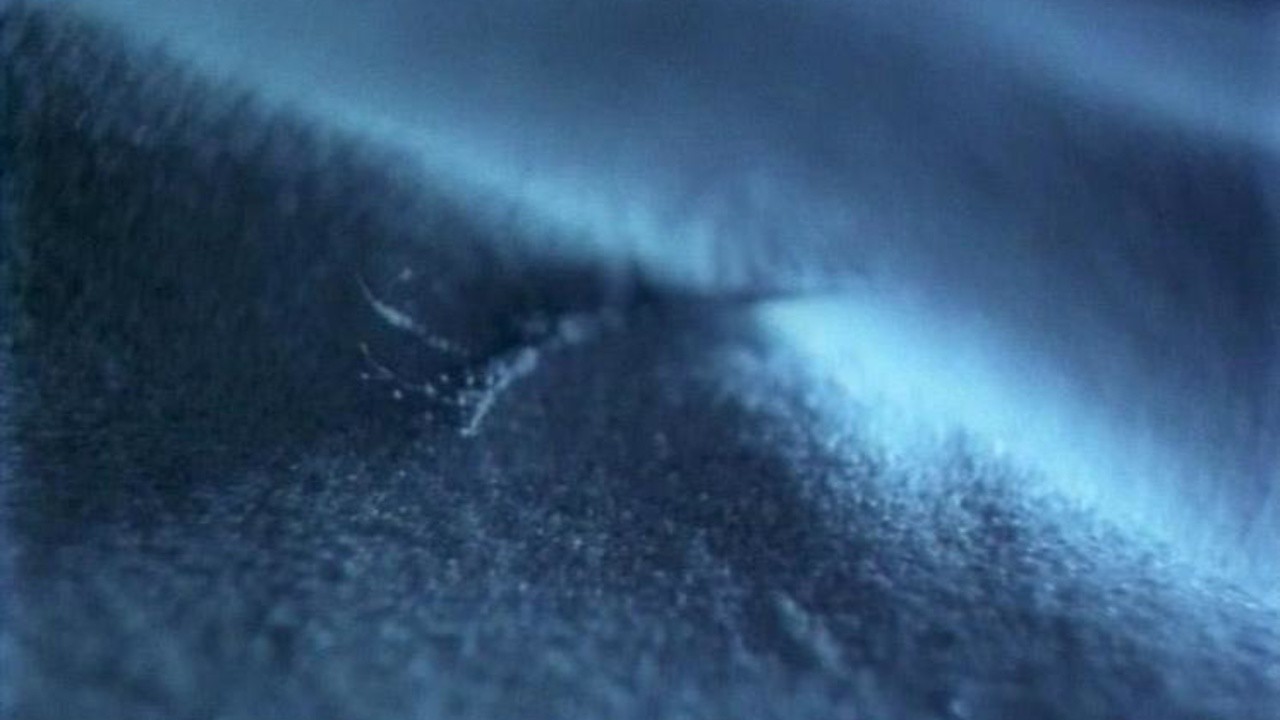 Dust (1998) | MUBI
