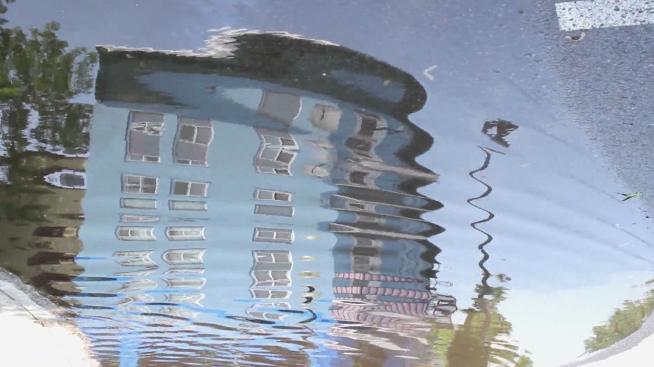 Reflection (2012) | MUBI