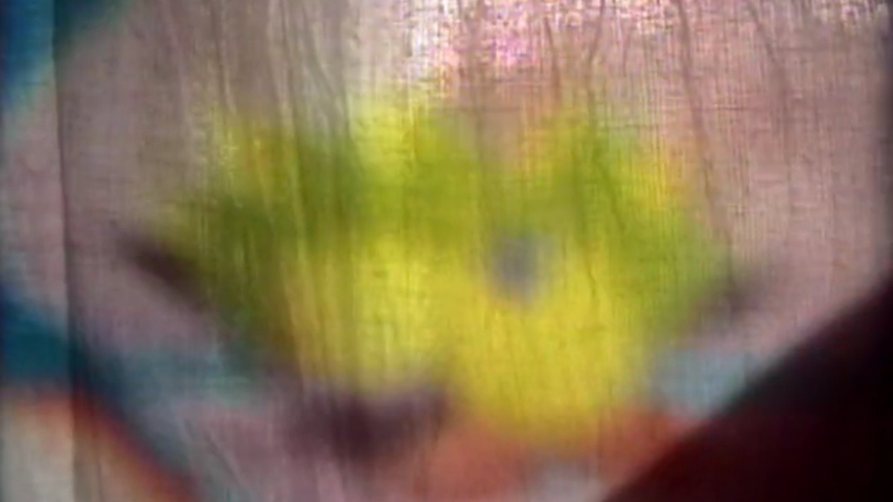 Afternoon (March 22, 1999) (1999) | MUBI