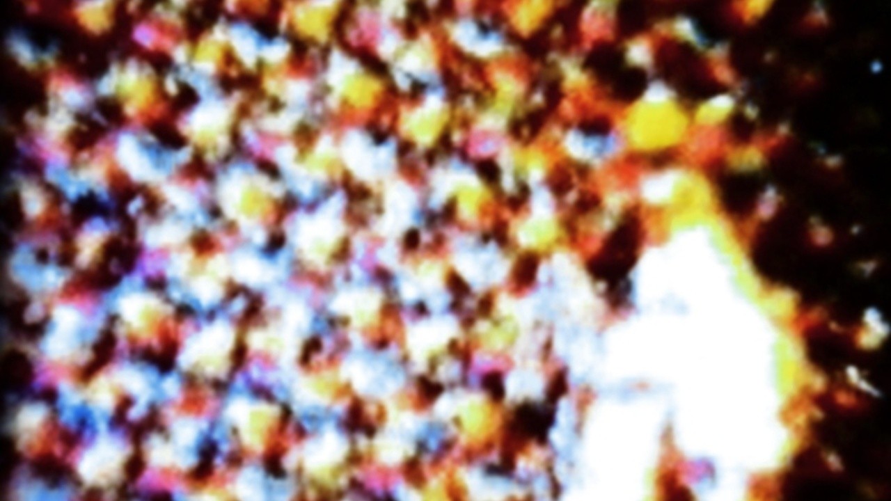 Wk=mMv2/2 (2006) | MUBI