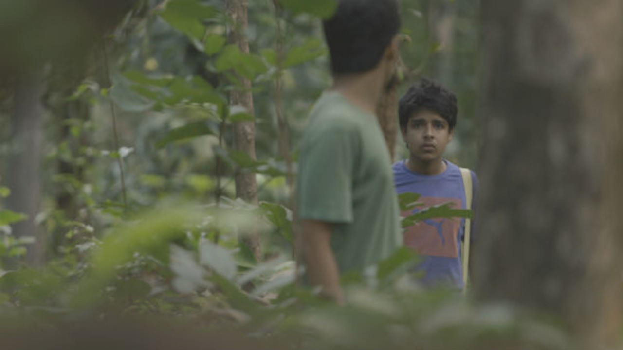 The Waterfall (2017) | MUBI