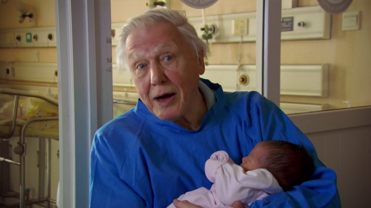 Rise of Animals: Triumph of the Vertebrates (2013) | MUBI