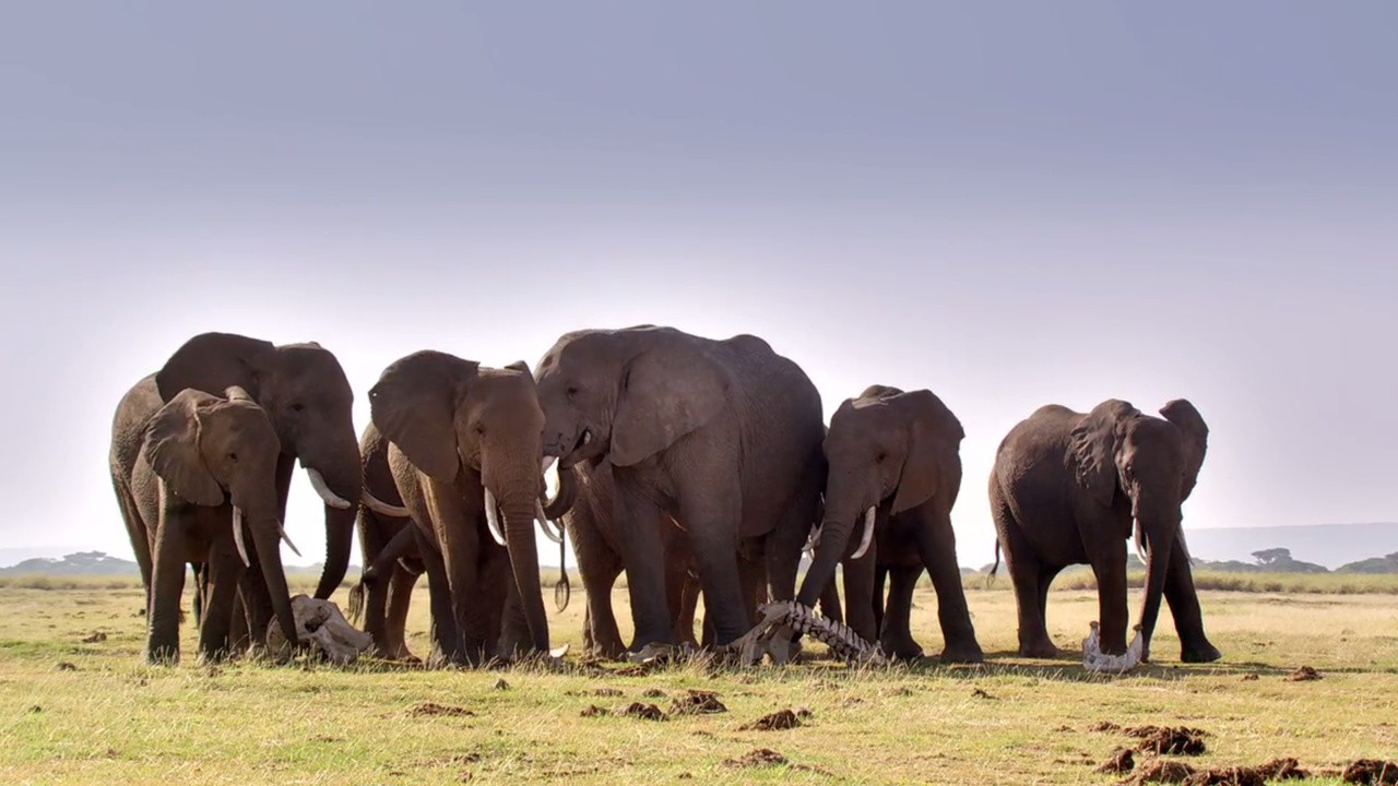 Life Story (2014) | MUBI