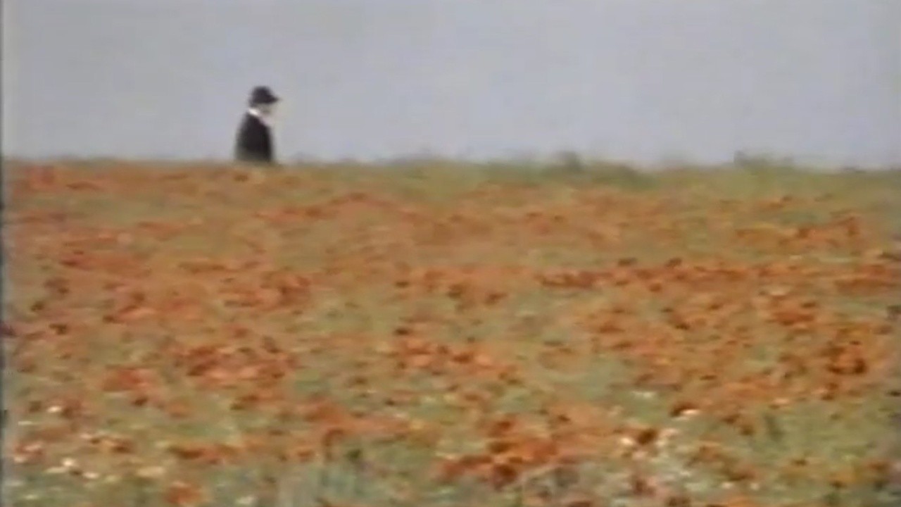 Poppyland (1985) | MUBI