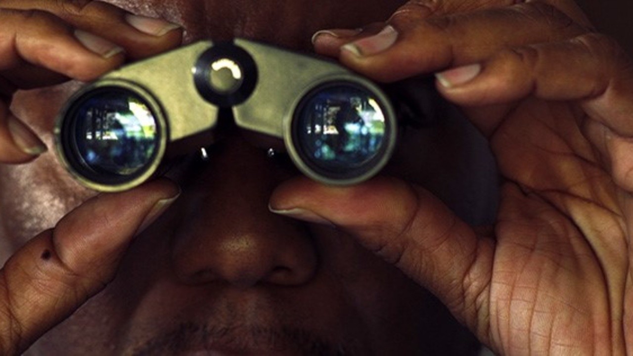 Indelible (2017) | MUBI