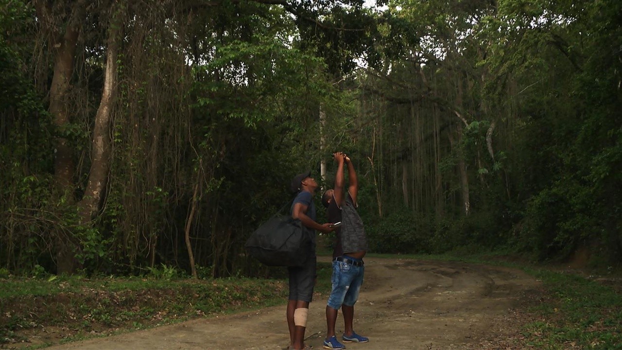 TRAILER - Plastic (2018)