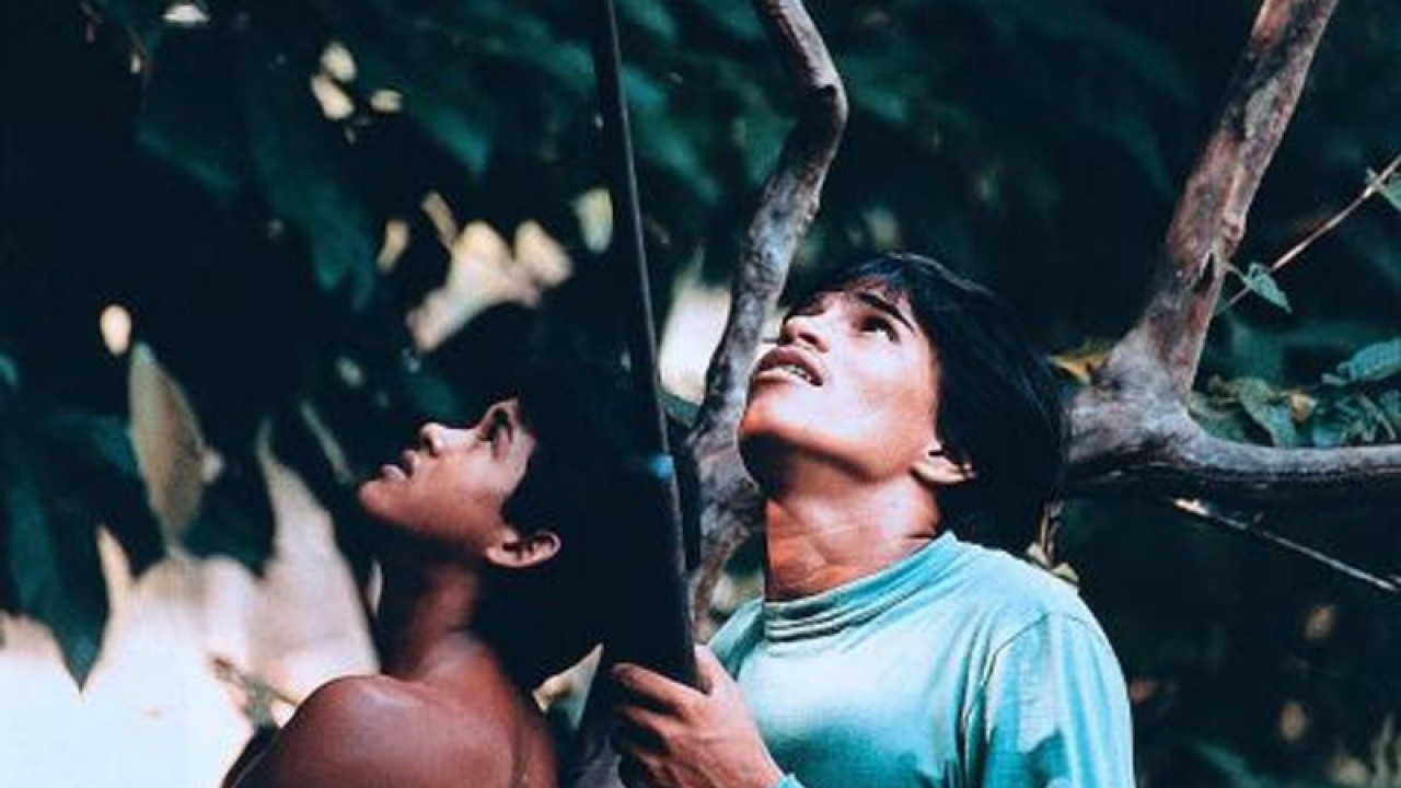 The Colors of the Birds (1988) | MUBI