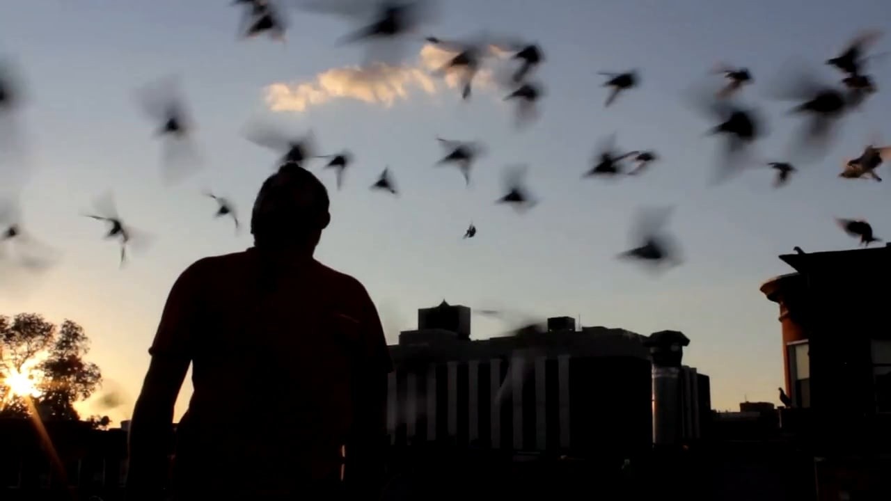 They Come Home (2017) | MUBI